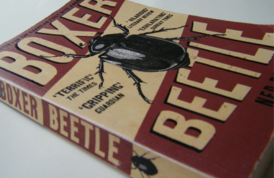 BoxerBeetle – DYSTOPIC