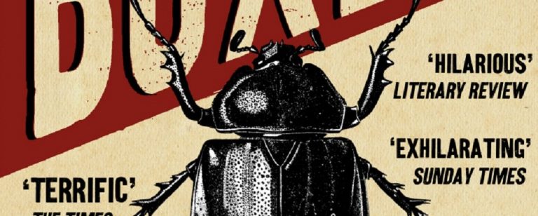 boxerbeetle-999×400 – DYSTOPIC